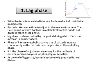 Bacterial growth curve | PDF