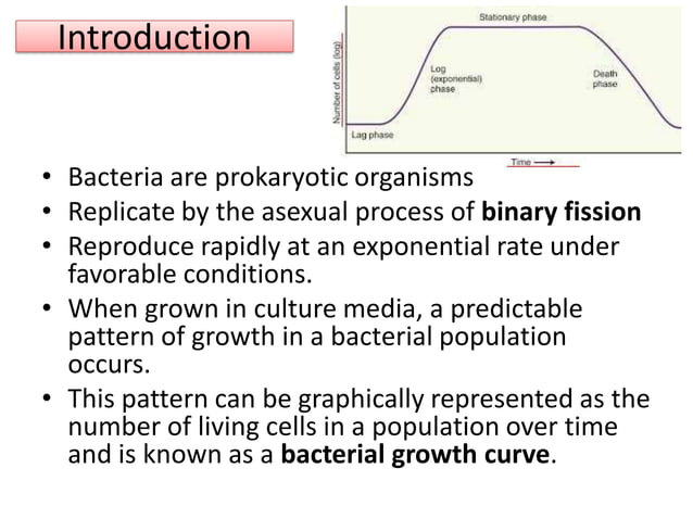 Bacterial growth curve