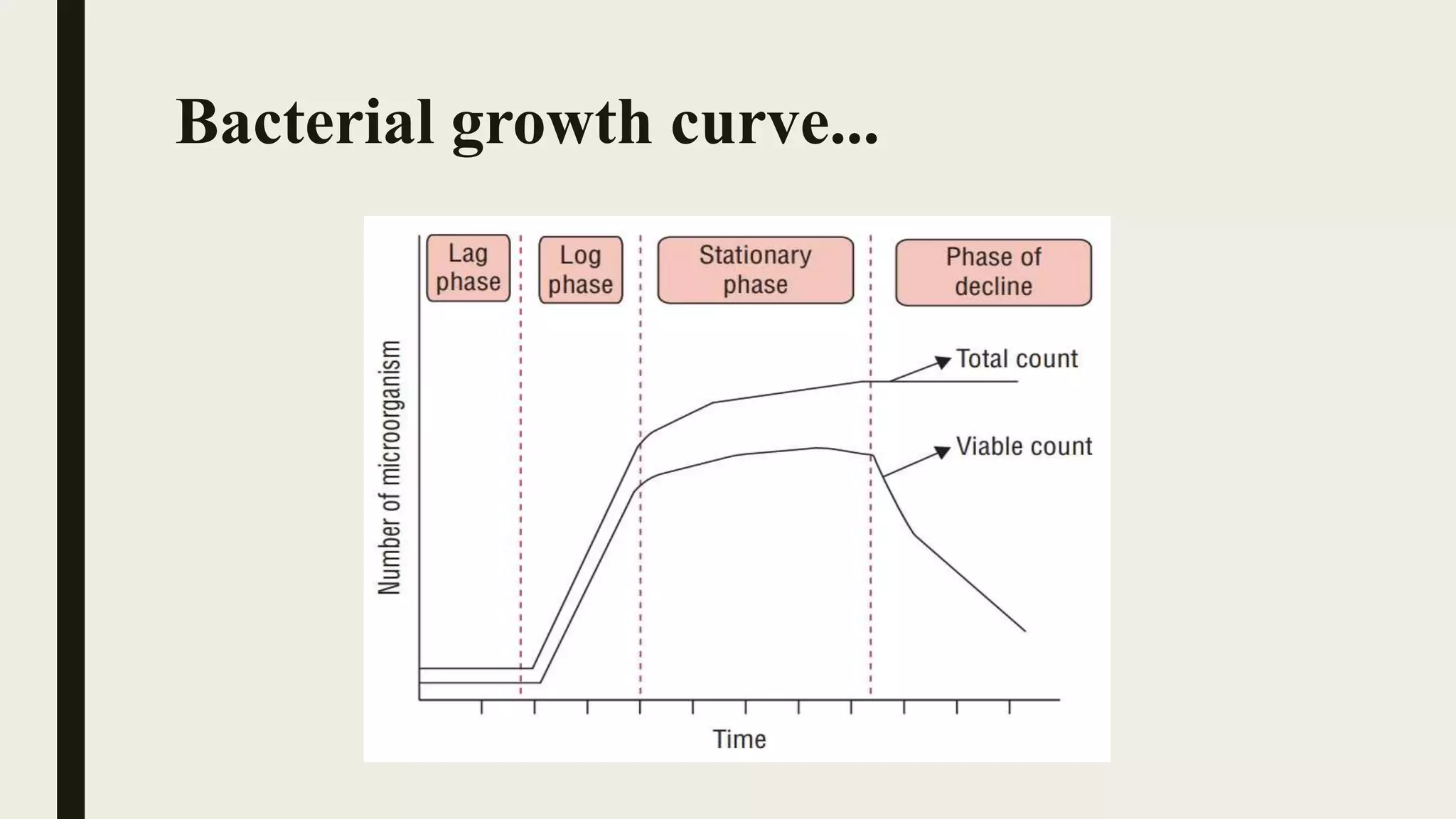 Bacterial growth curve | PPTX