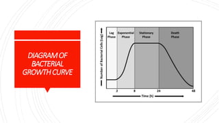 Bacterial Growth Curve | PPTX