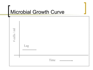 BACTERIAL GROWTH CURVE.ppt