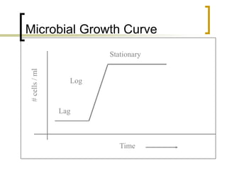 BACTERIAL GROWTH CURVE.ppt