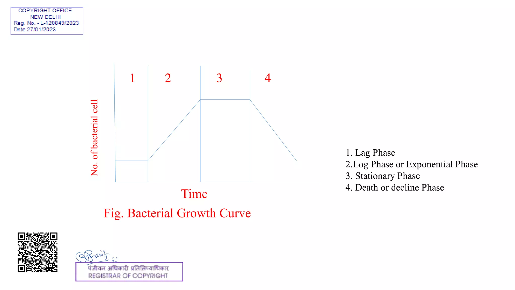 Bacterial Growth Curve.pdf