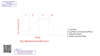 Bacterial Growth Curve.pdf