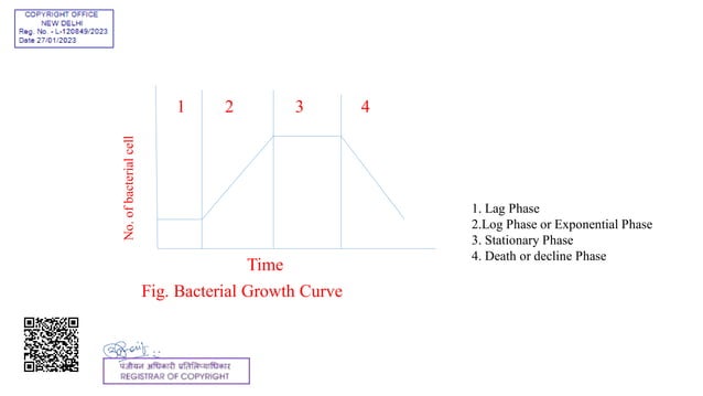 Bacterial Growth Curve.pdf