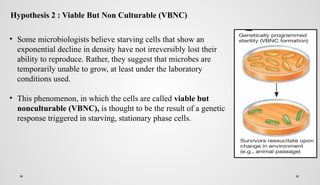 Bacterial Growth Curve and its mathematics | PPTX