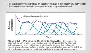 Bacterial Growth Curve and its mathematics | PPTX