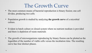 Bacterial Growth Curve and its mathematics | PPTX