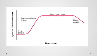 Bacterial Growth Curve and its mathematics | PPTX