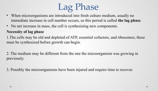 Bacterial Growth Curve and its mathematics | PPTX