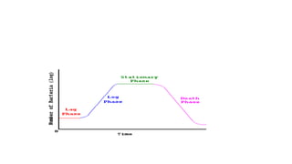 Bacterial Growth Curve.pptx kmtc clinical medicine | PPTX