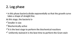 Bacterial Growth Curve.pptx kmtc clinical medicine | PPTX