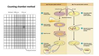 bacterial growth curve-converted.pdf