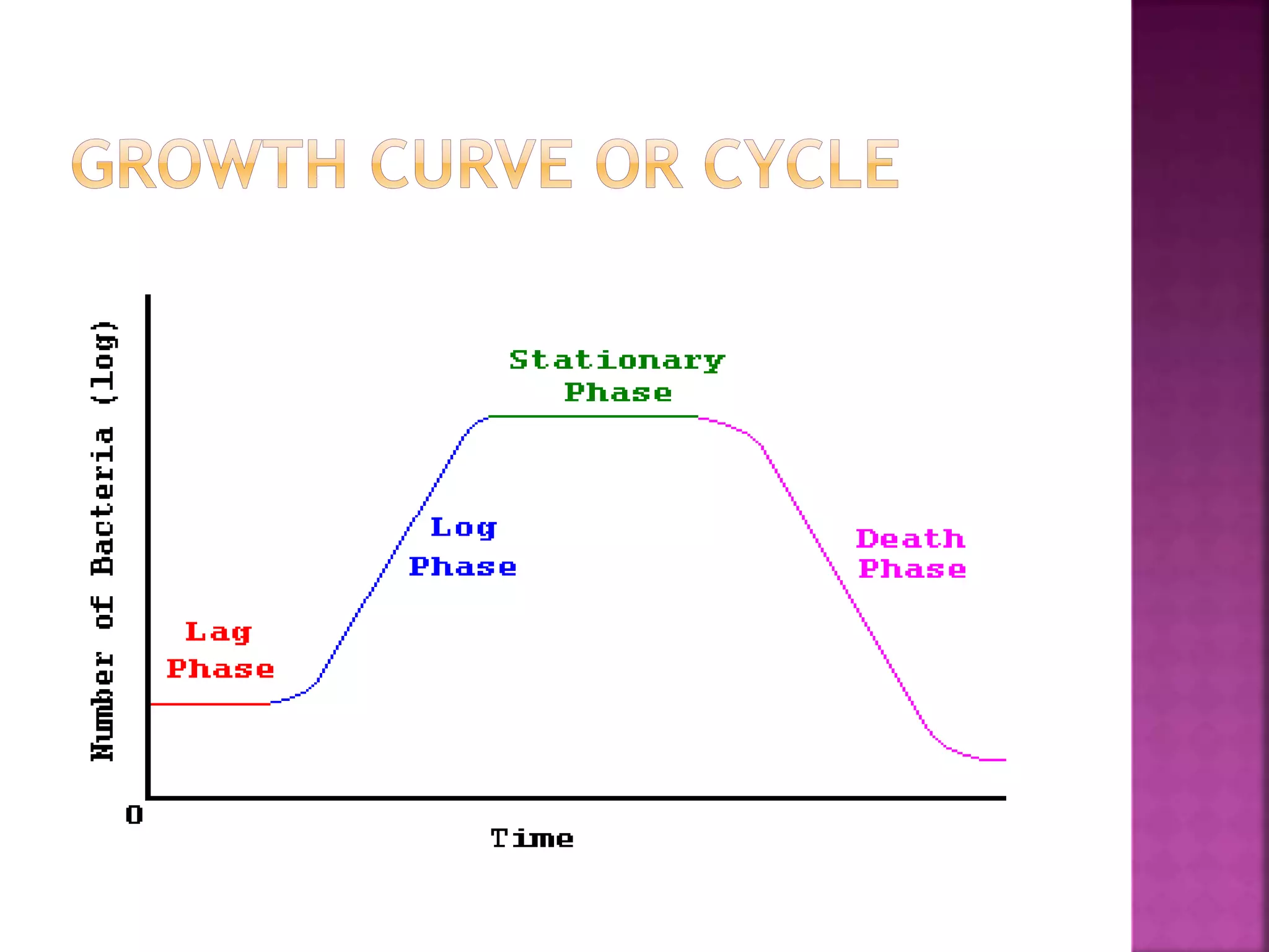 Bacterial growth curves | PPTX