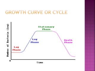 Bacterial growth curves | PPTX