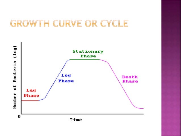 Bacterial growth curves | PPTX