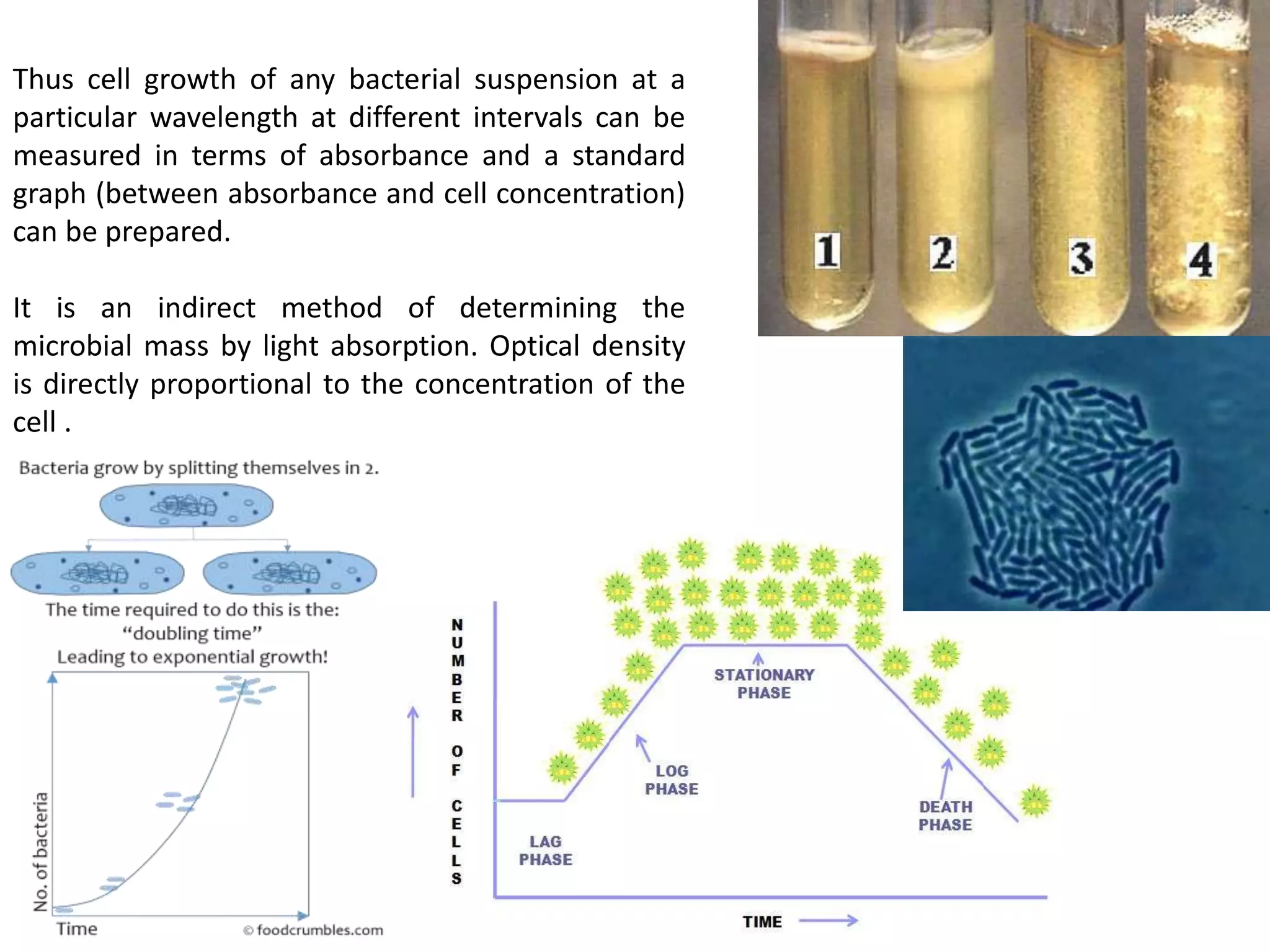 Bacterial growth measurement | PPTX