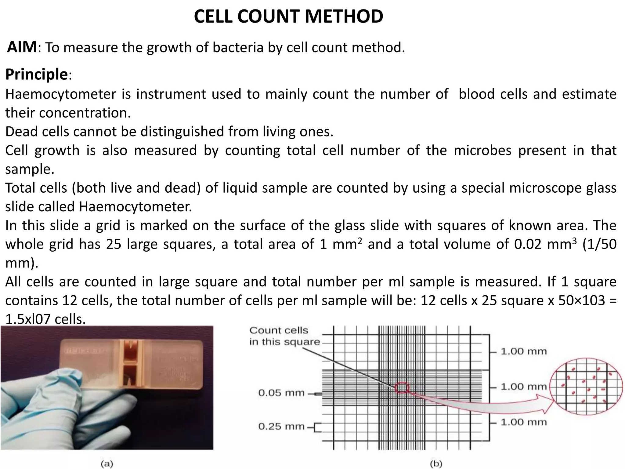Bacterial growth measurement | PPTX