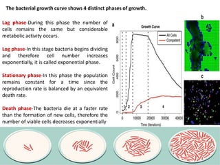 Bacterial growth measurement | PPTX