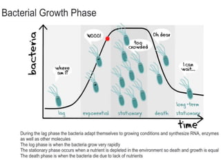 Bacterial growth measurement | PPTX
