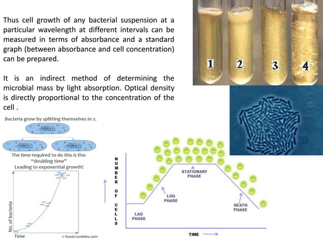 Bacterial growth measurement | PPTX | Infectious Diseases | Diseases ...