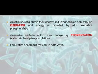 Bacterial growth & metabolism | PPTX