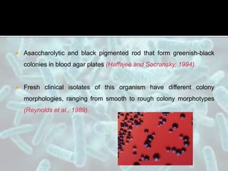 Bacterial growth & metabolism | PPTX