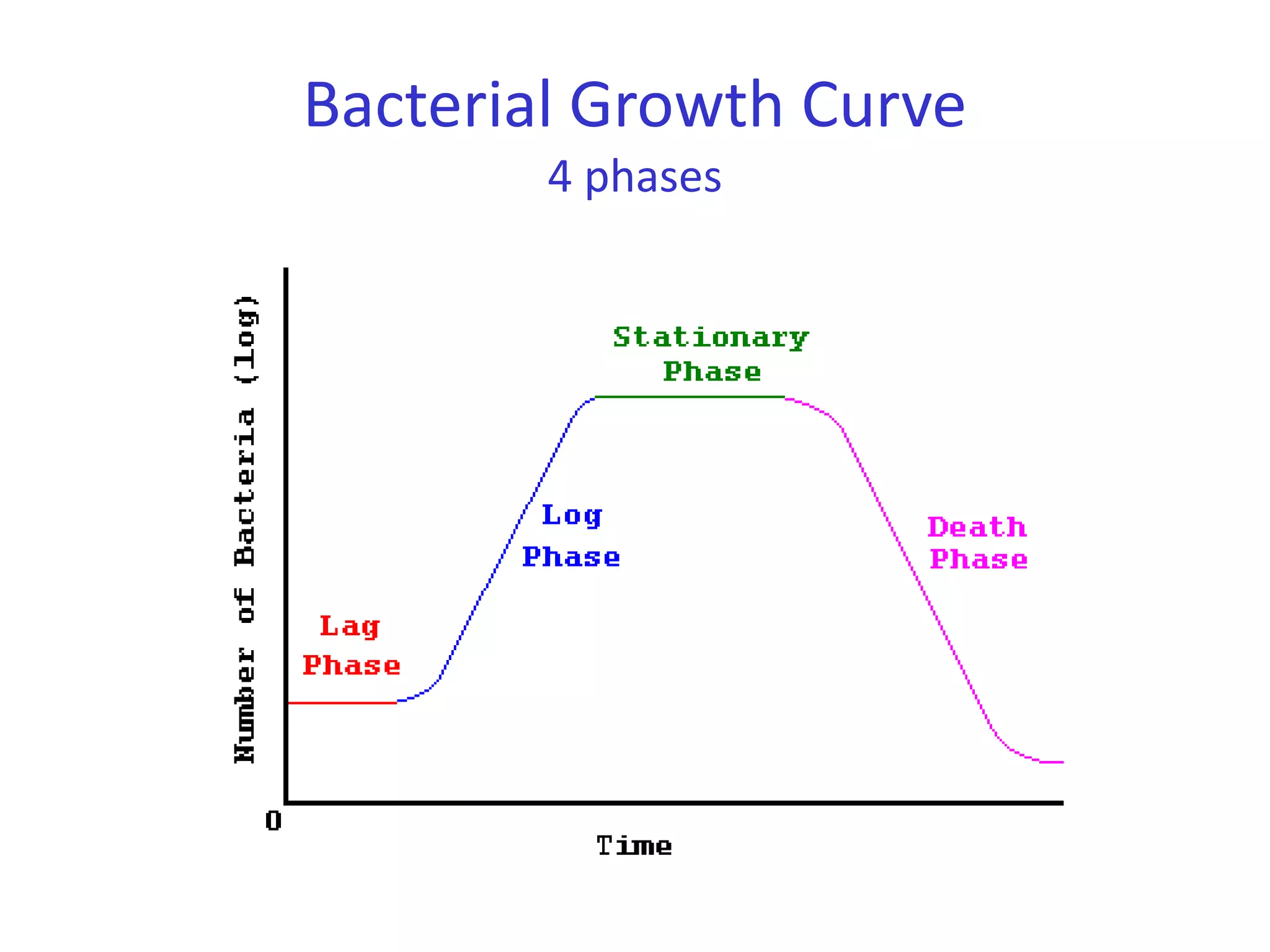 bacterial_growth_metabolism.ppt