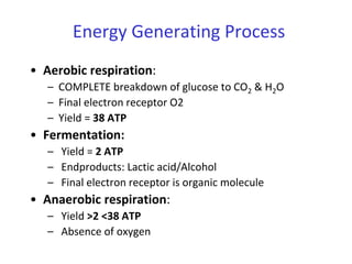 bacterial_growth_metabolism.ppt