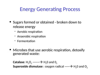 Bacterial growth metabolism in power point .ppt