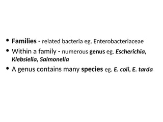 Bacterial growth metabolism in power point .ppt