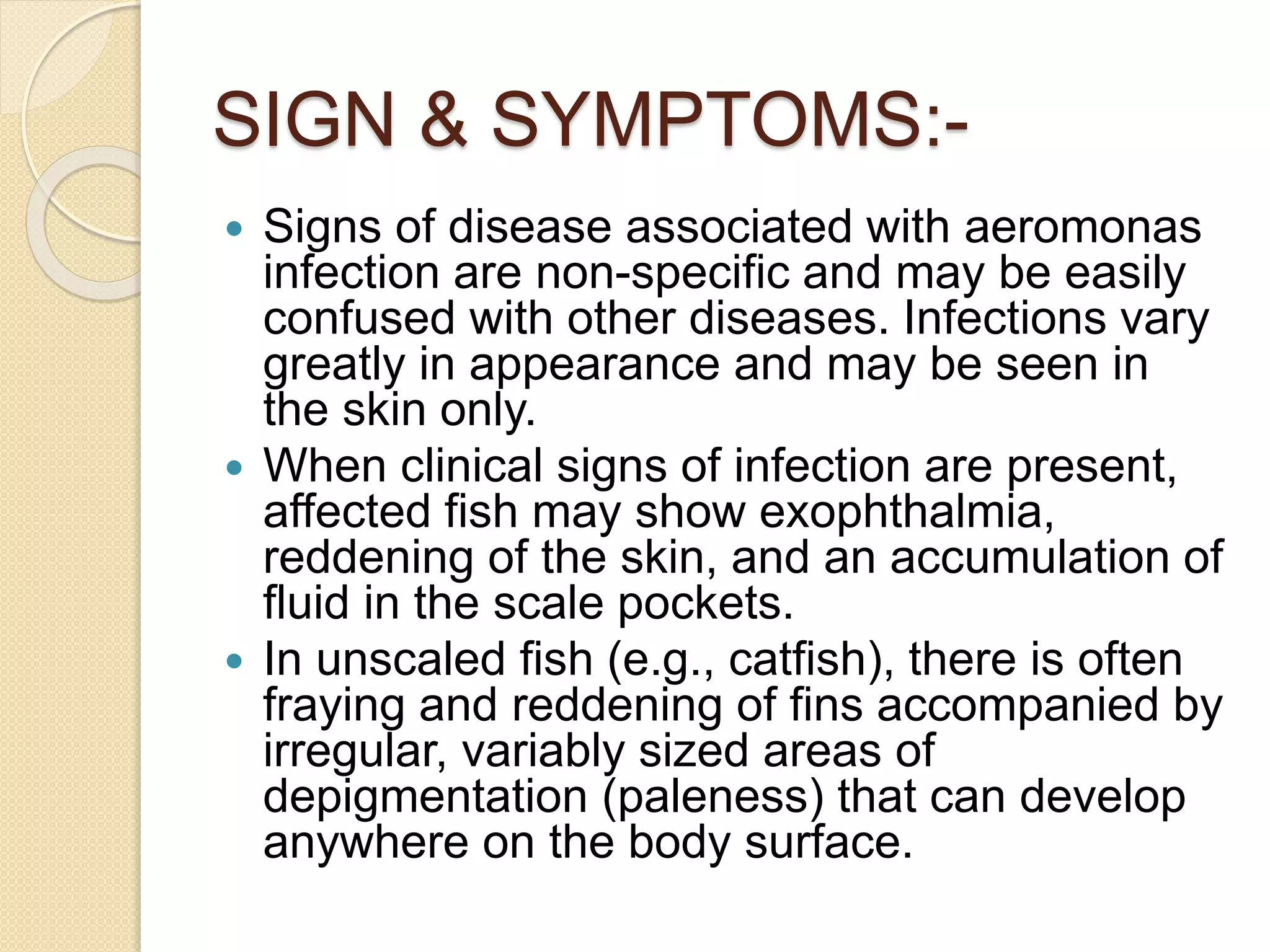 Bacterial haemorraghic septicemia | PPTX