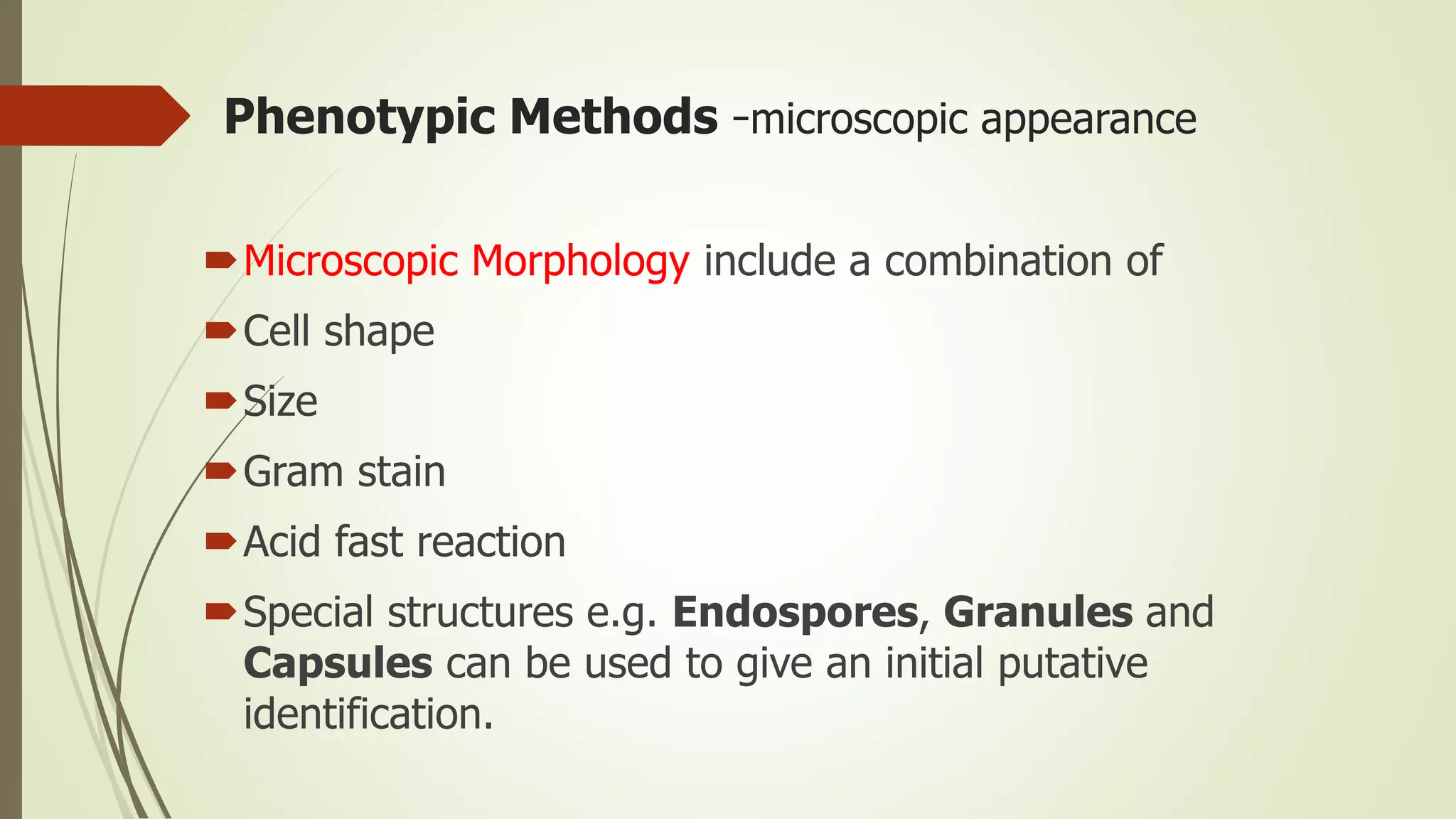 Bacterial identification | PPTX