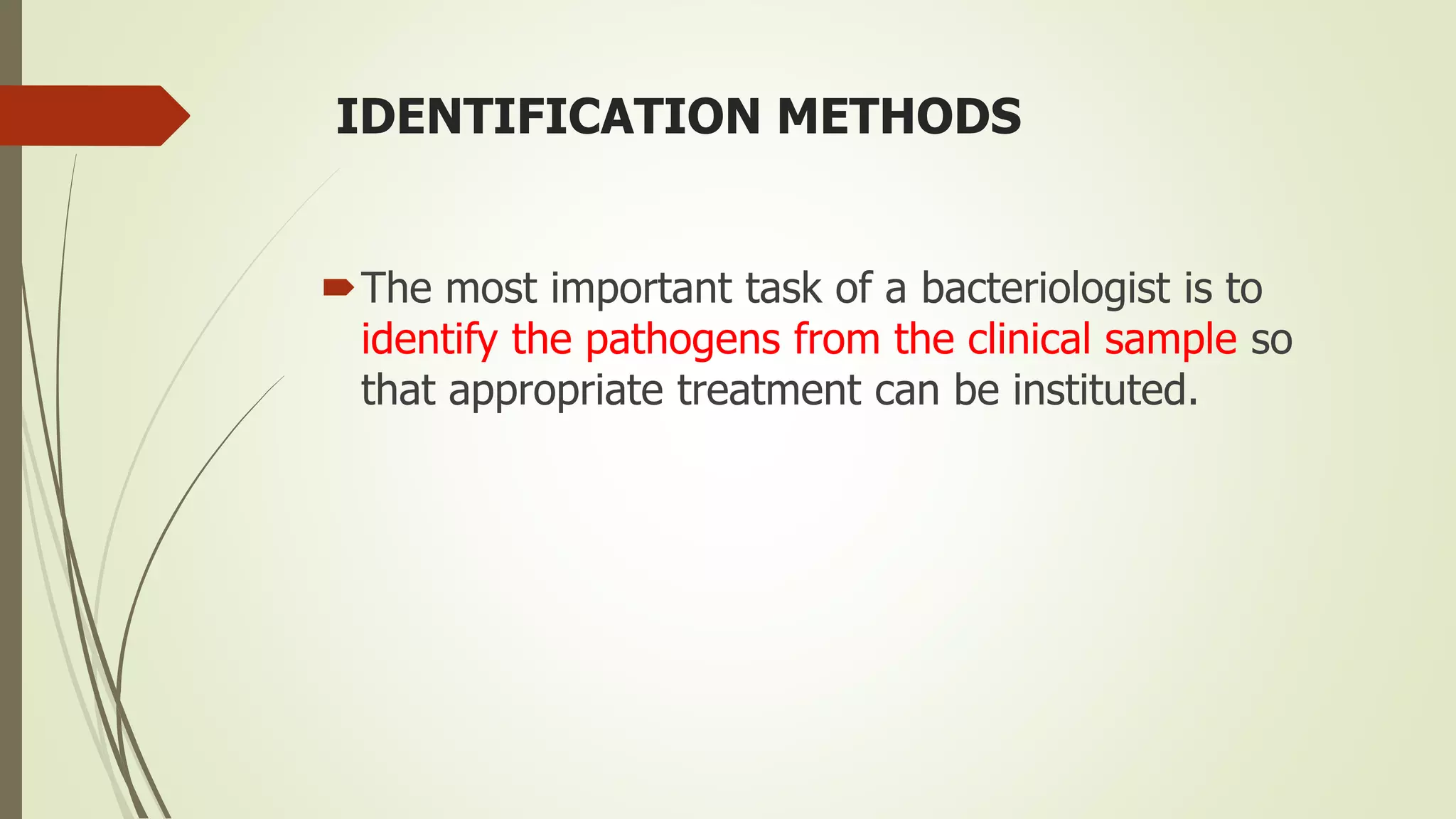 Bacterial identification | PPTX