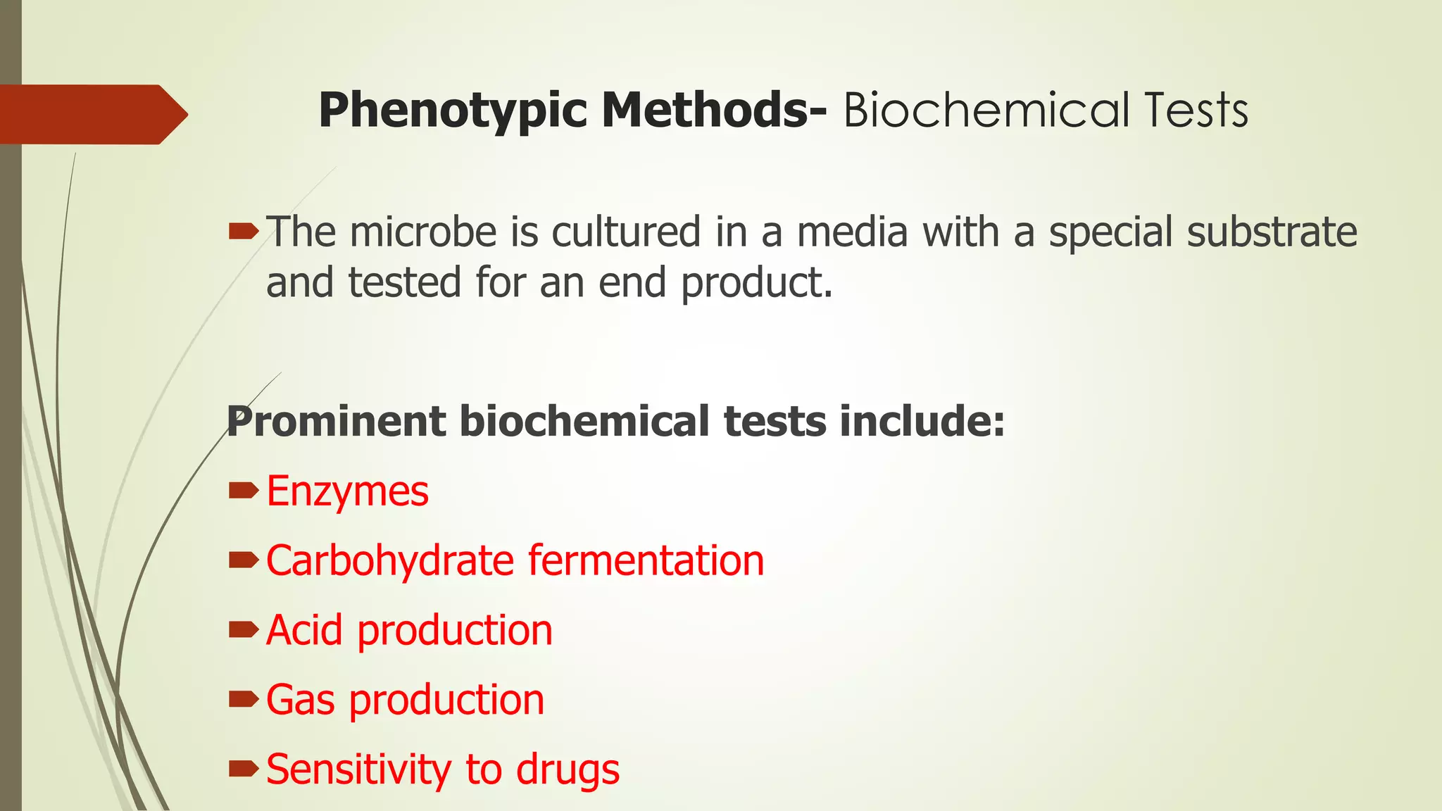 Bacterial identification | PPTX