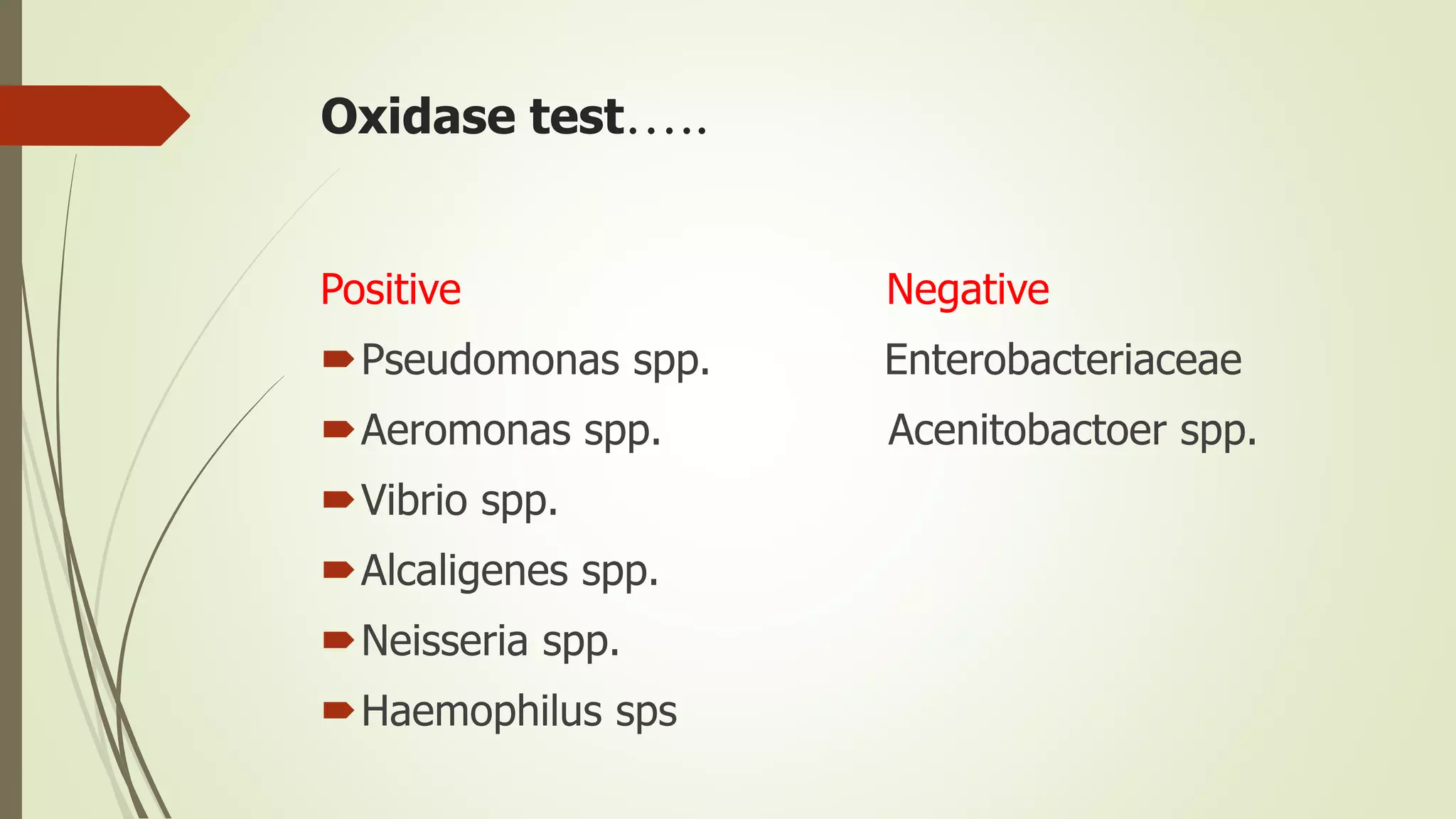 Bacterial identification | PPTX