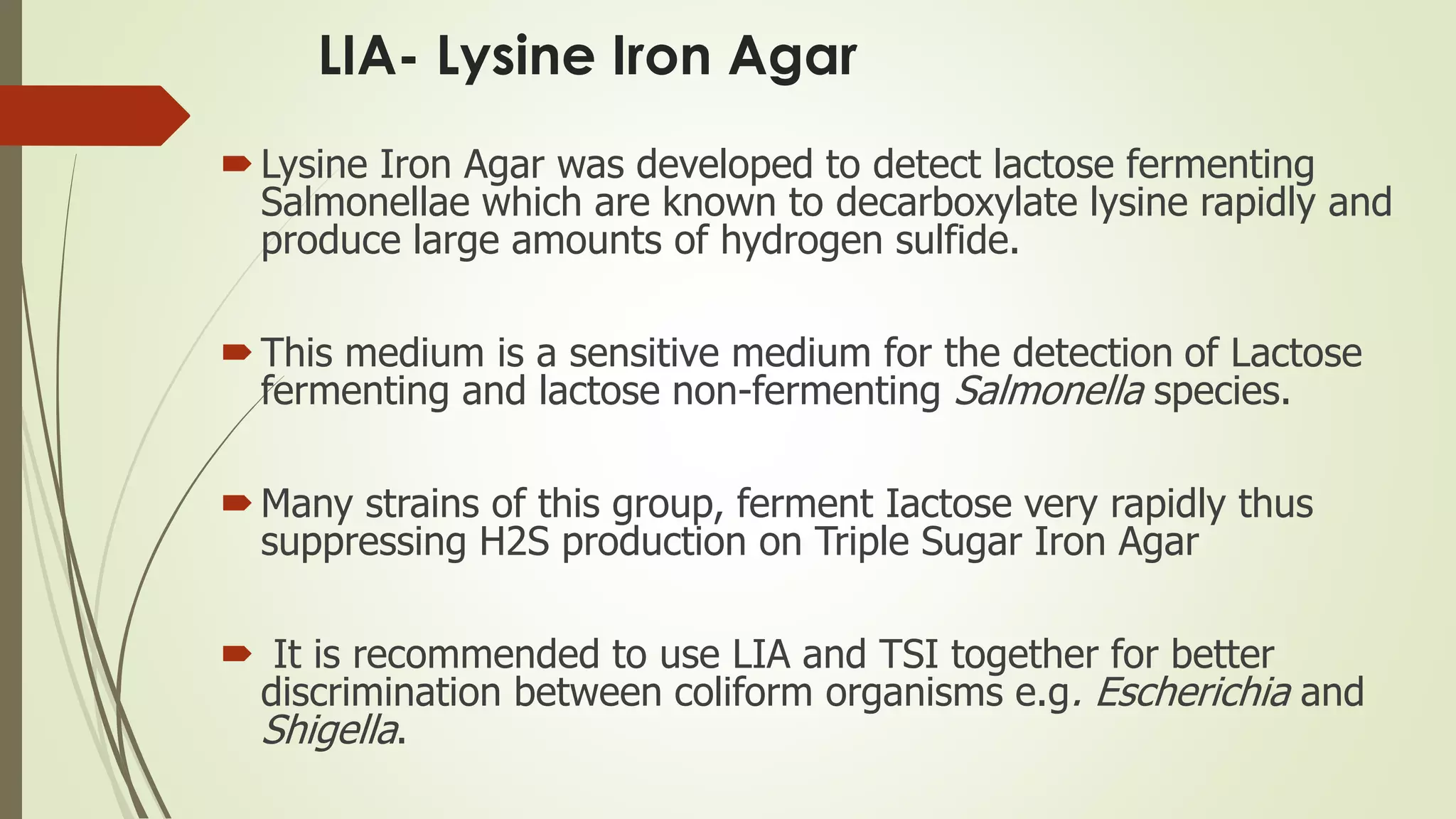 Bacterial identification | PPTX