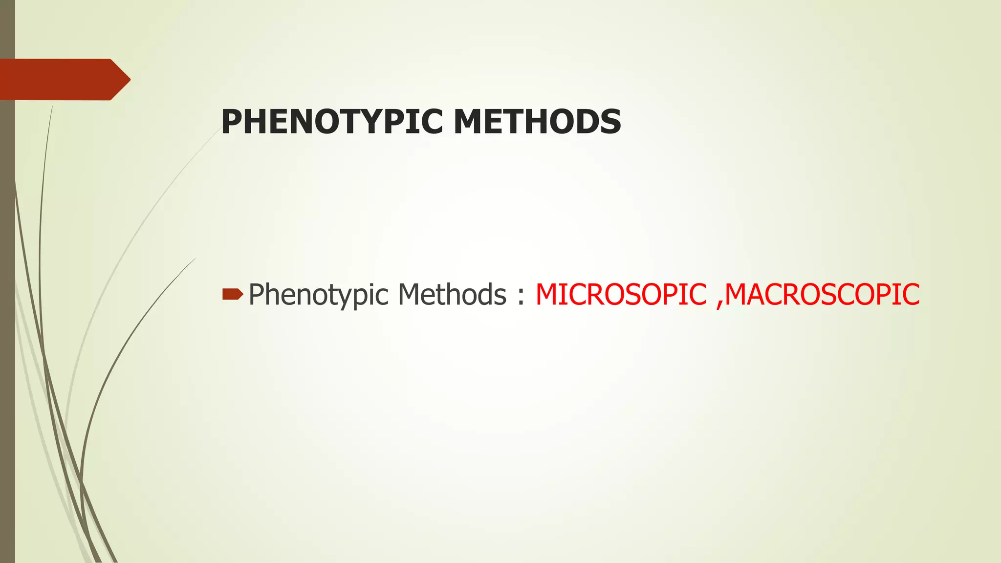 Bacterial identification | PPTX