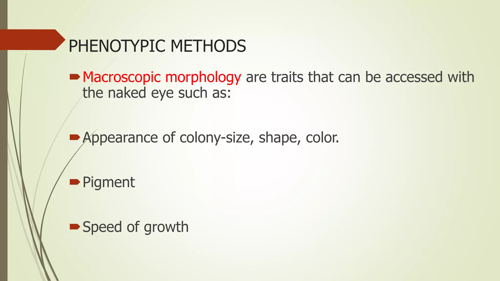 Bacterial identification | PPTX