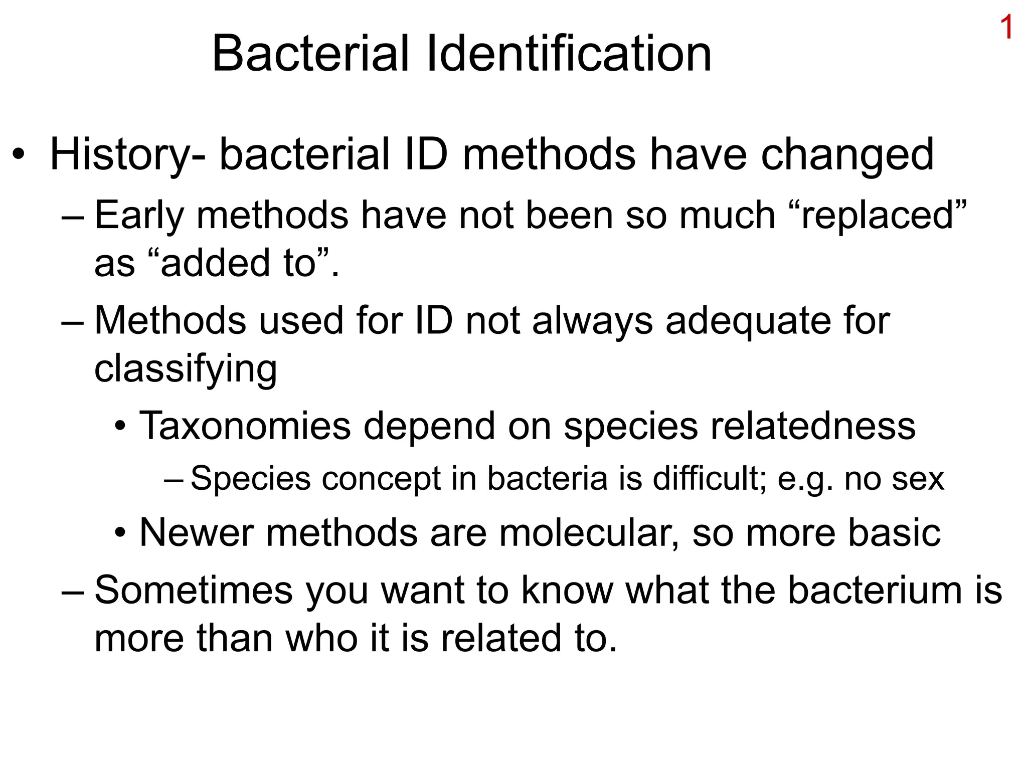 Bacterial Identification Ppt