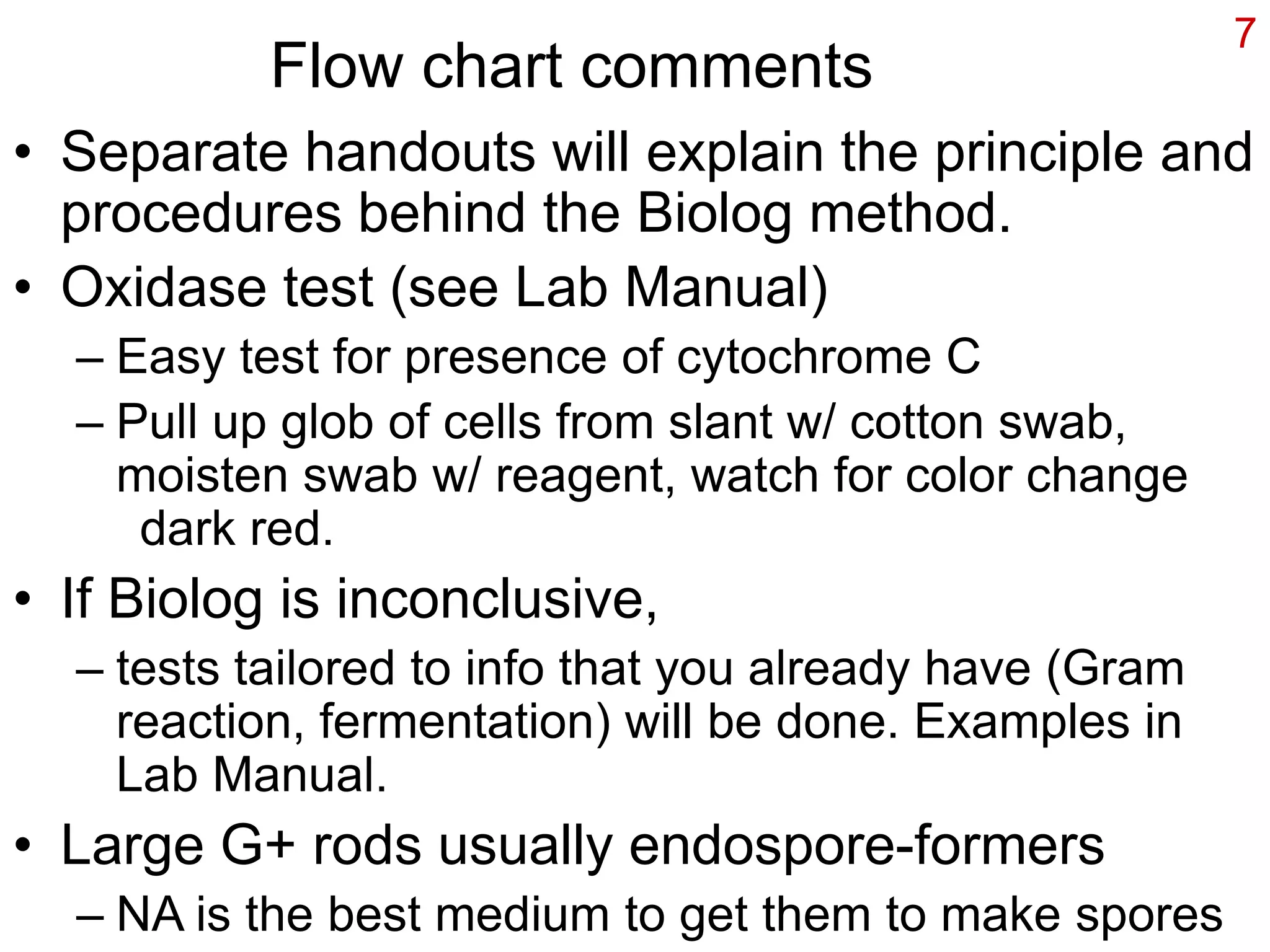 Bacterial Identification.ppt