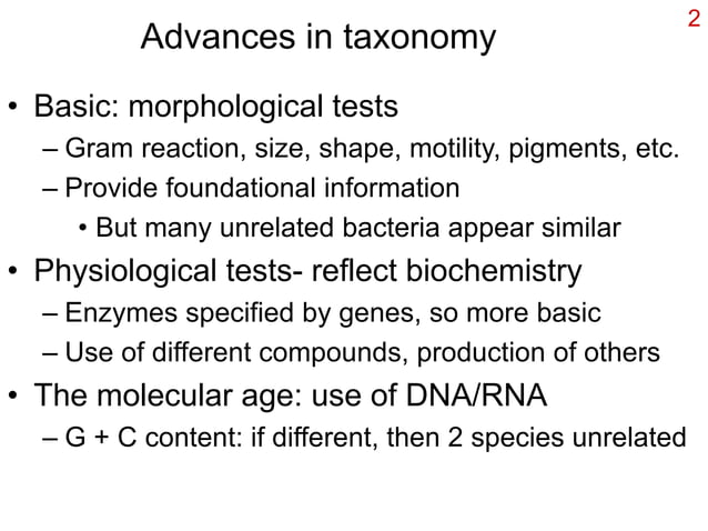 Bacterial Identification.ppt | Biological Sciences | Science