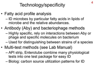 Bacterial Identification.ppt