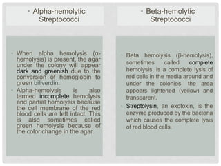 Bacterial infection | PPT | Free Download