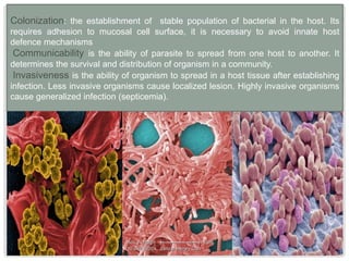 Bacterial infection | PPTX