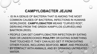 Bacterial infection, food borne bacterial infection | PPTX | Infectious ...
