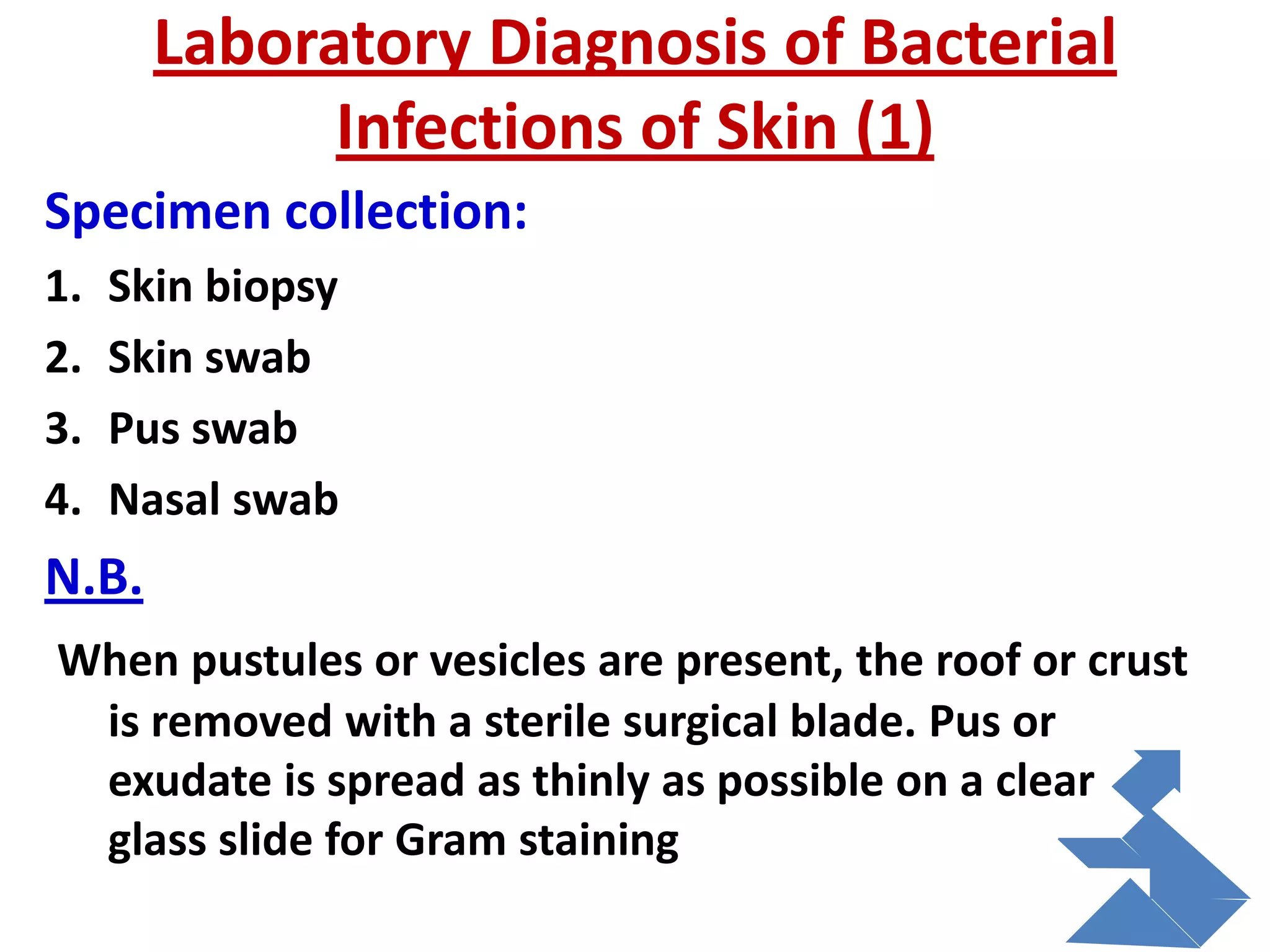 Bacterial infection of the skin | PPTX