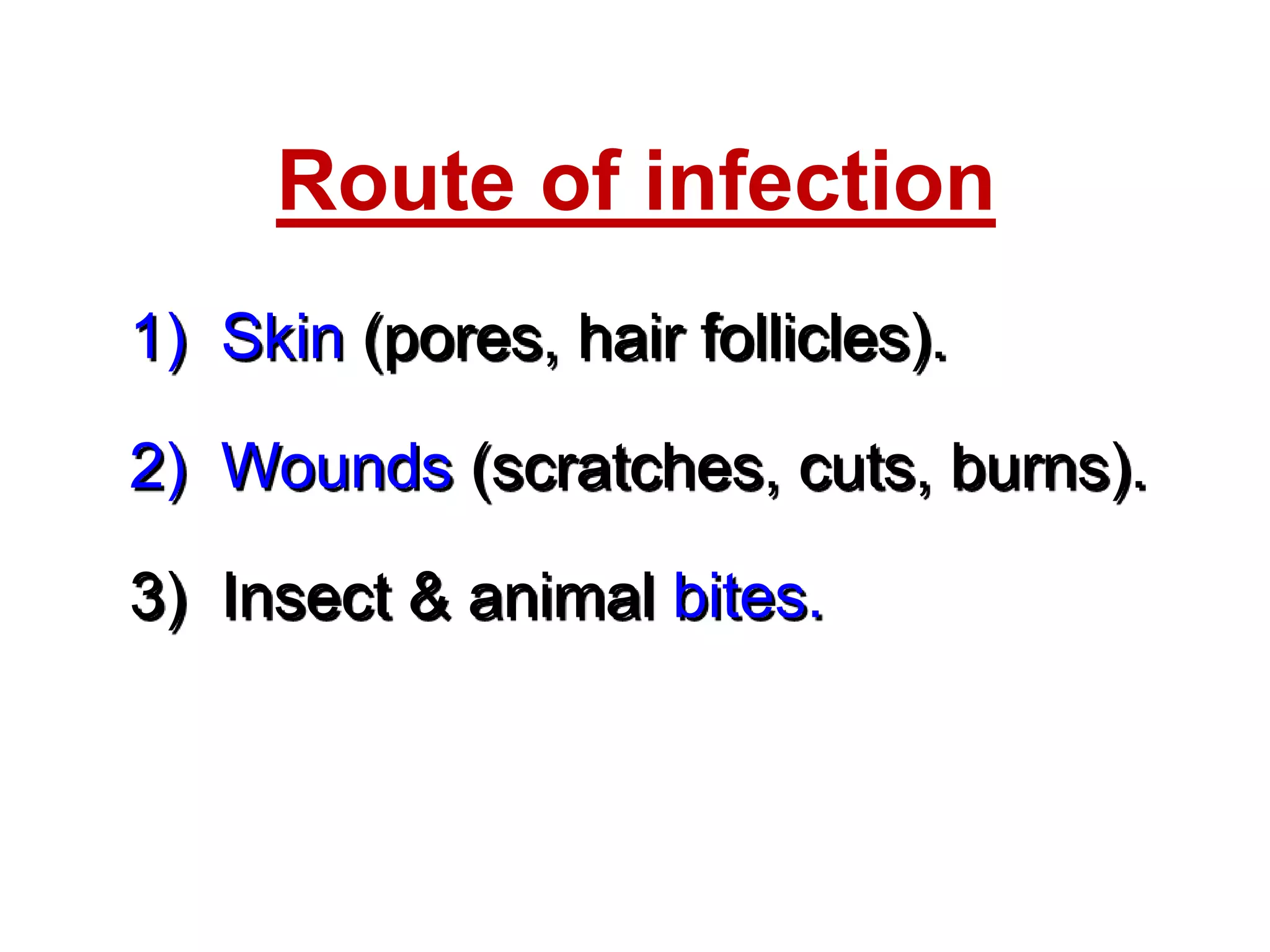 Bacterial infection of the skin | PPTX