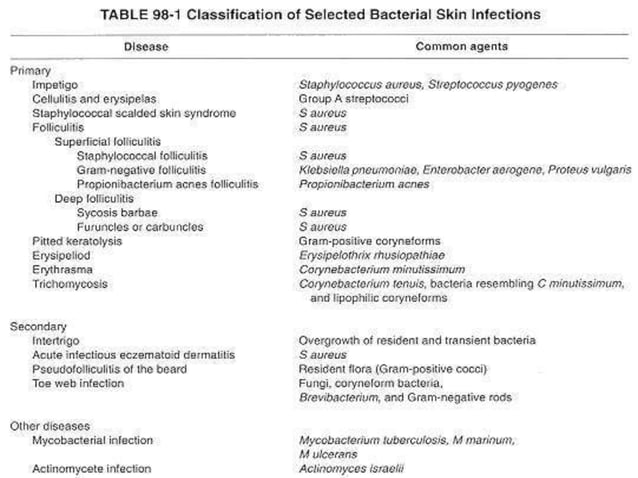 Bacterial infection of the skin | PPTX