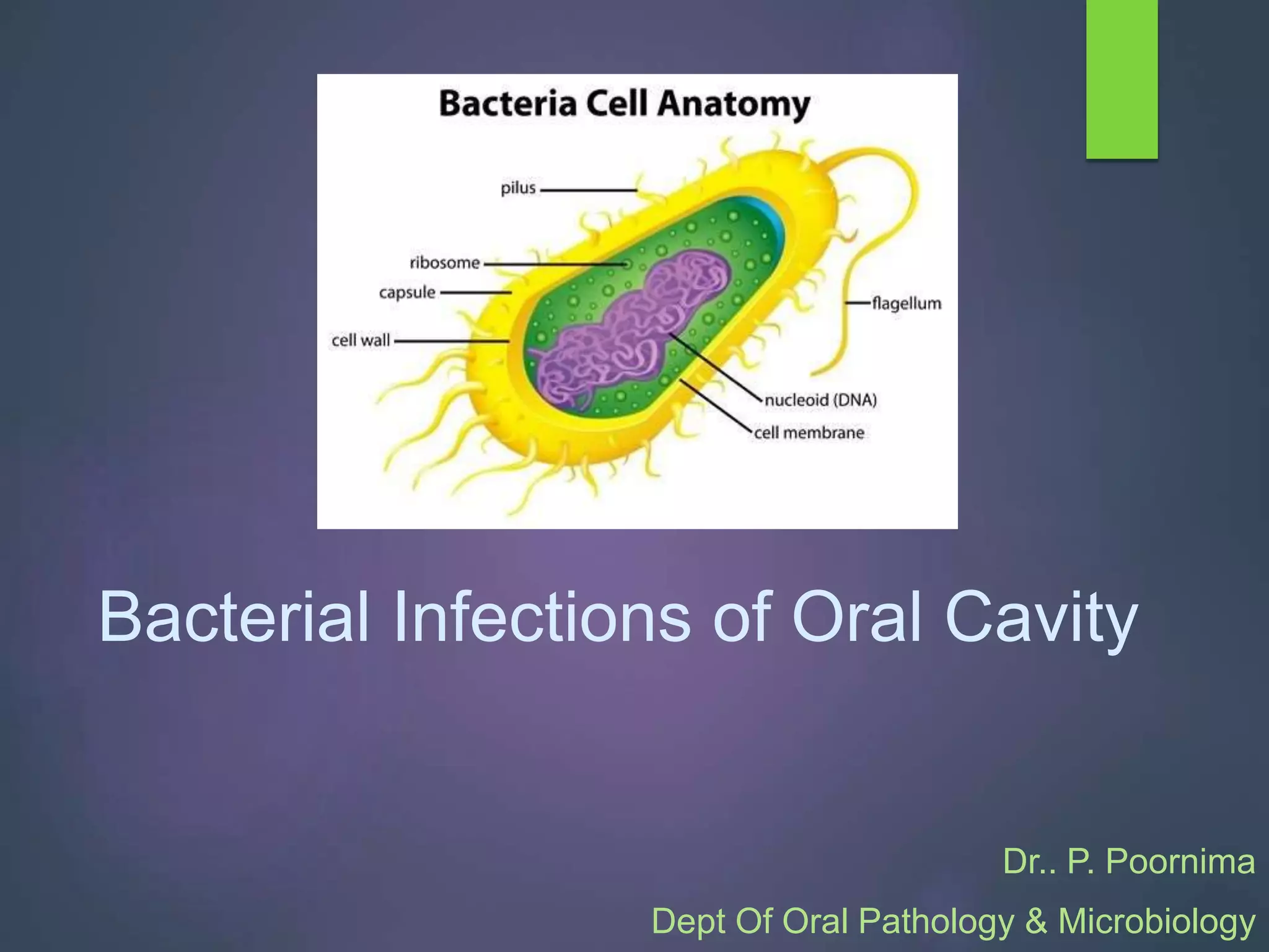 Bacterial infections of oral cavity | PPTX